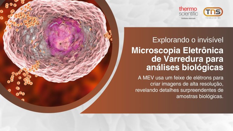 Microscopia Eletrônica de Varredura para análises biológicas - Blog ...