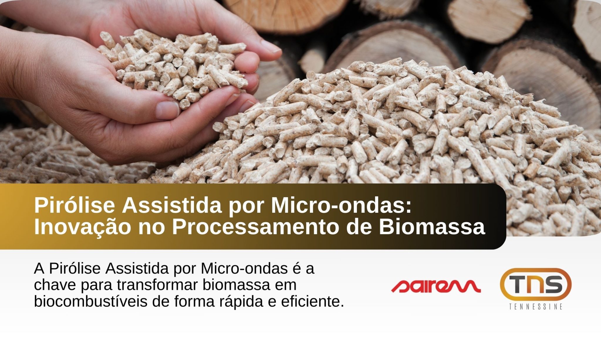 Pirólise Assistida por Micro-ondas: Inovação no Processamento de ...